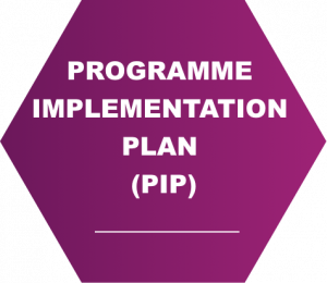 Programme Implementation Plan (PIP) - TOX247 Ltd